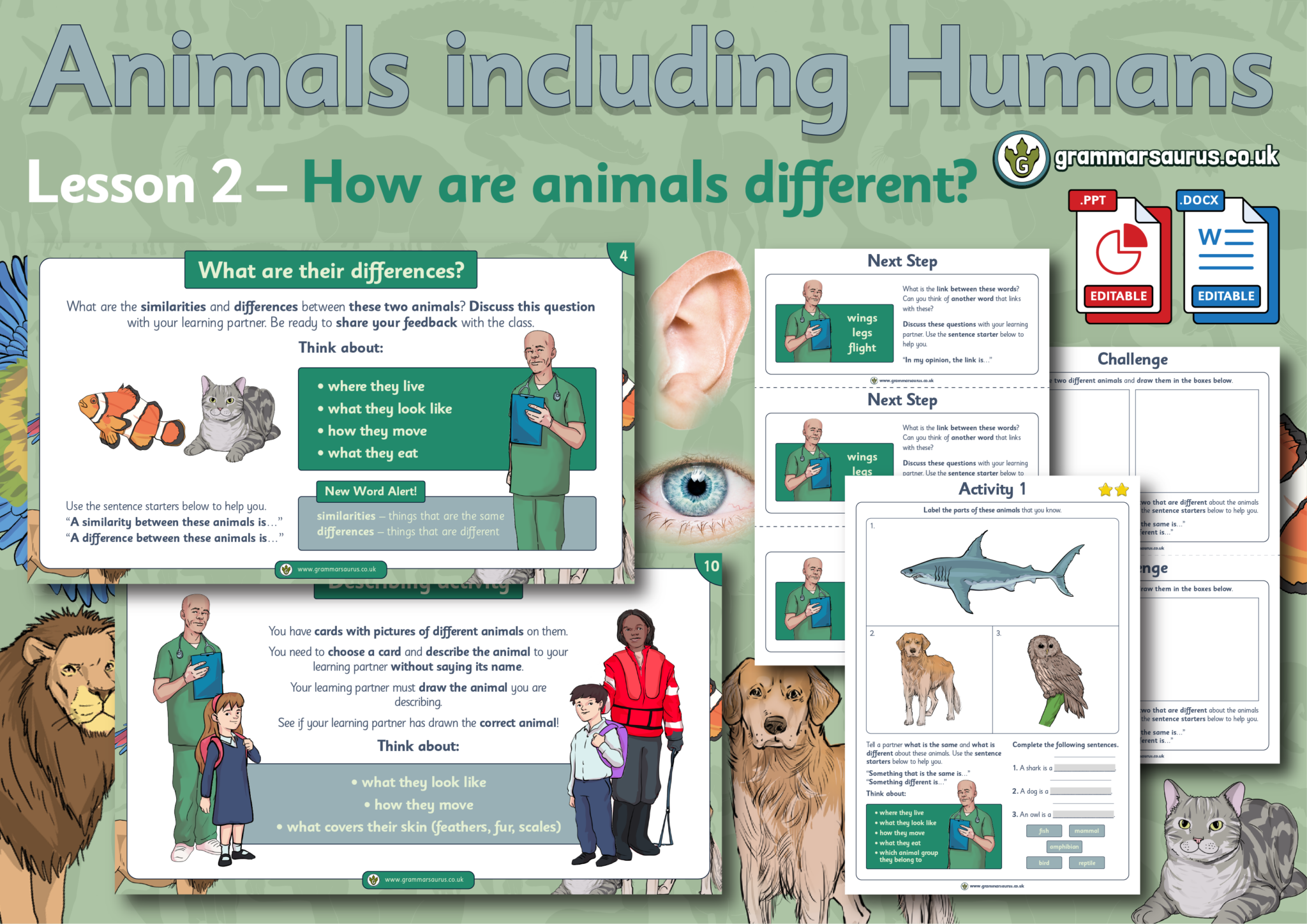 Year 1 Science - Animals including Humans - How are animals different ...