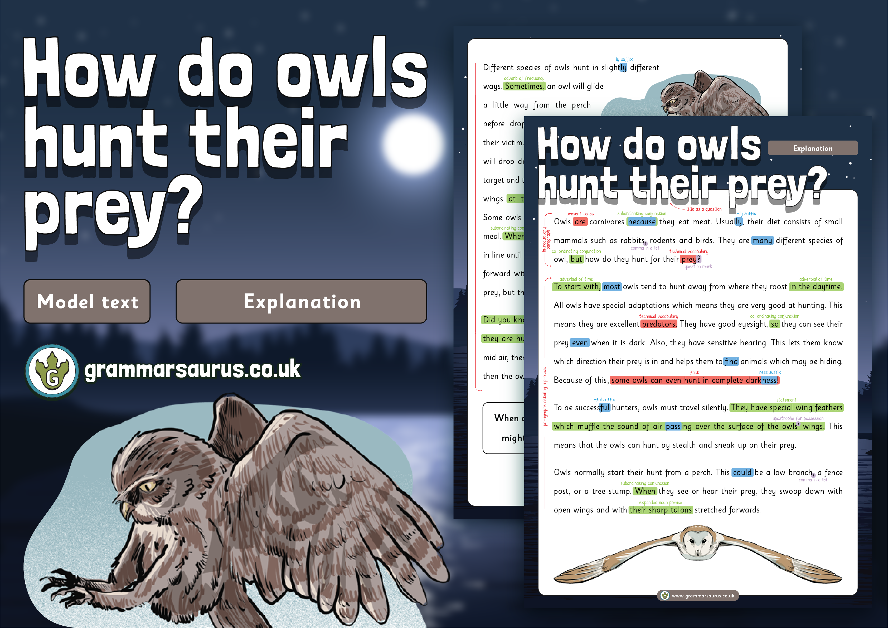 Year 2 Model Text - Explanation - How do owls hunt their prey ...