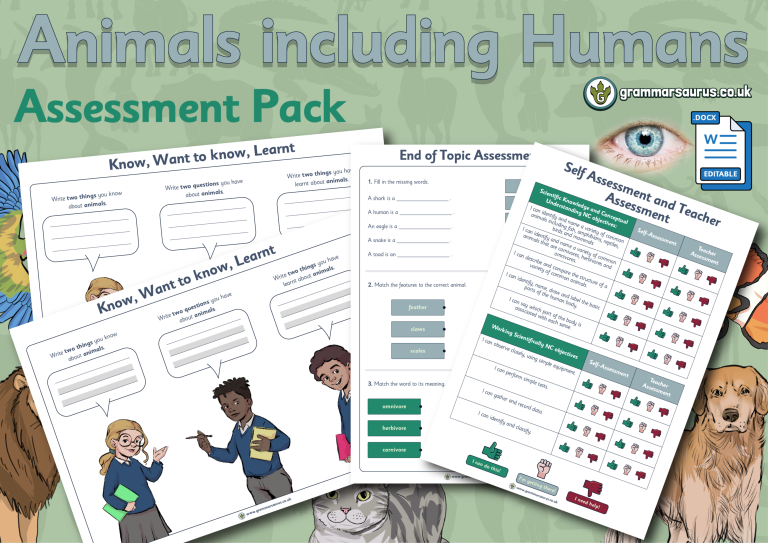 Year 1 Science - Animals including Humans - Assessment Pack - Grammarsaurus