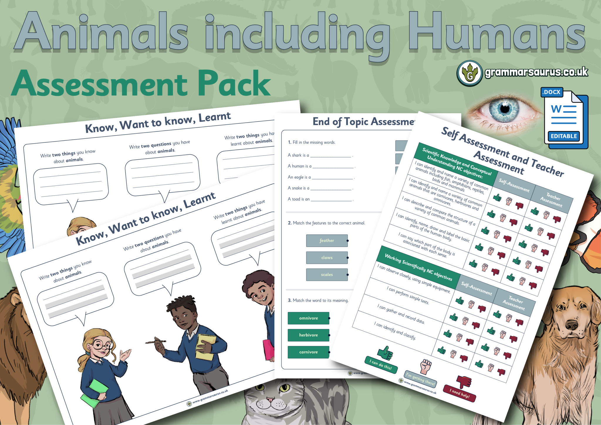 Year 1 Science - Animals including Humans - Assessment Pack - Grammarsaurus