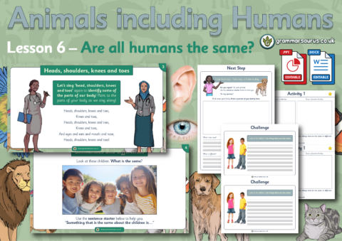 Year 1 Science - Animals including Humans - Are all humans the same ...