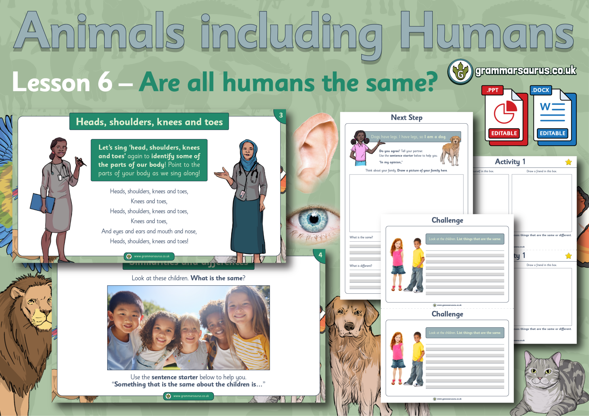 Year 1 Science - Animals including Humans - Are all humans the same ...