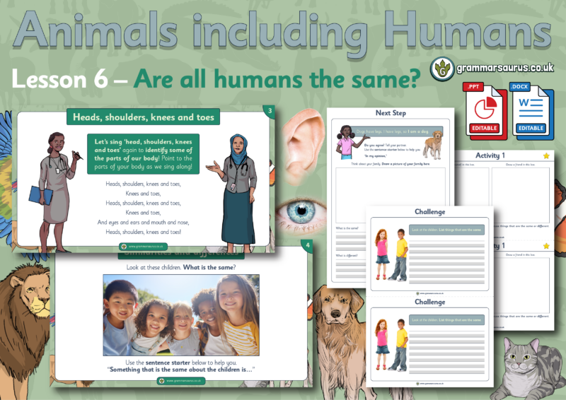 Year 1 Science - Animals including Humans - Are all humans the same ...