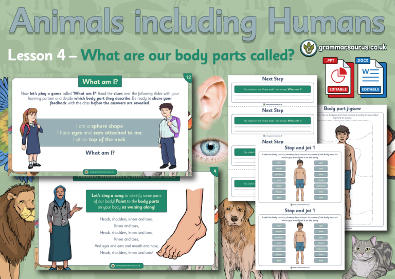 Year 1 Science - Animals including Humans - What are our body parts ...