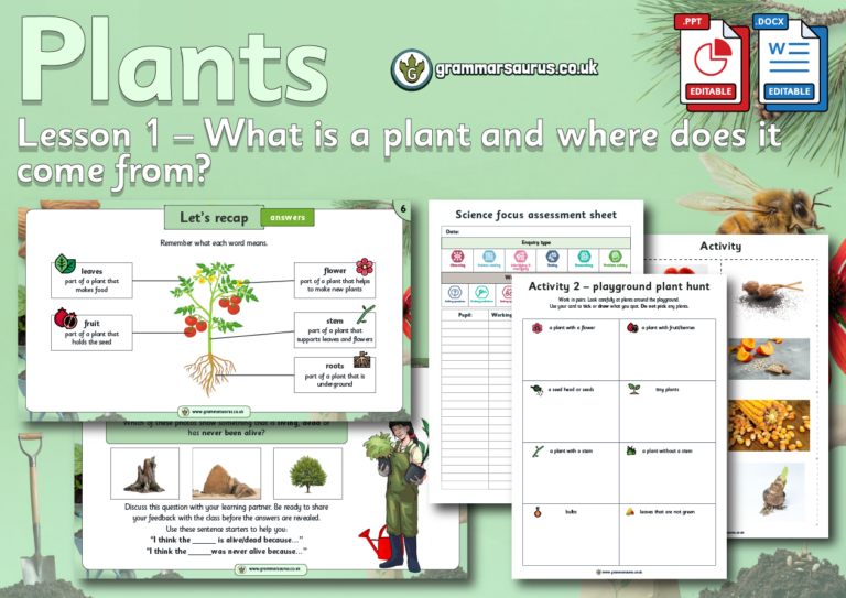Year 2 Science - Plants - What is a plant and where does it come from ...