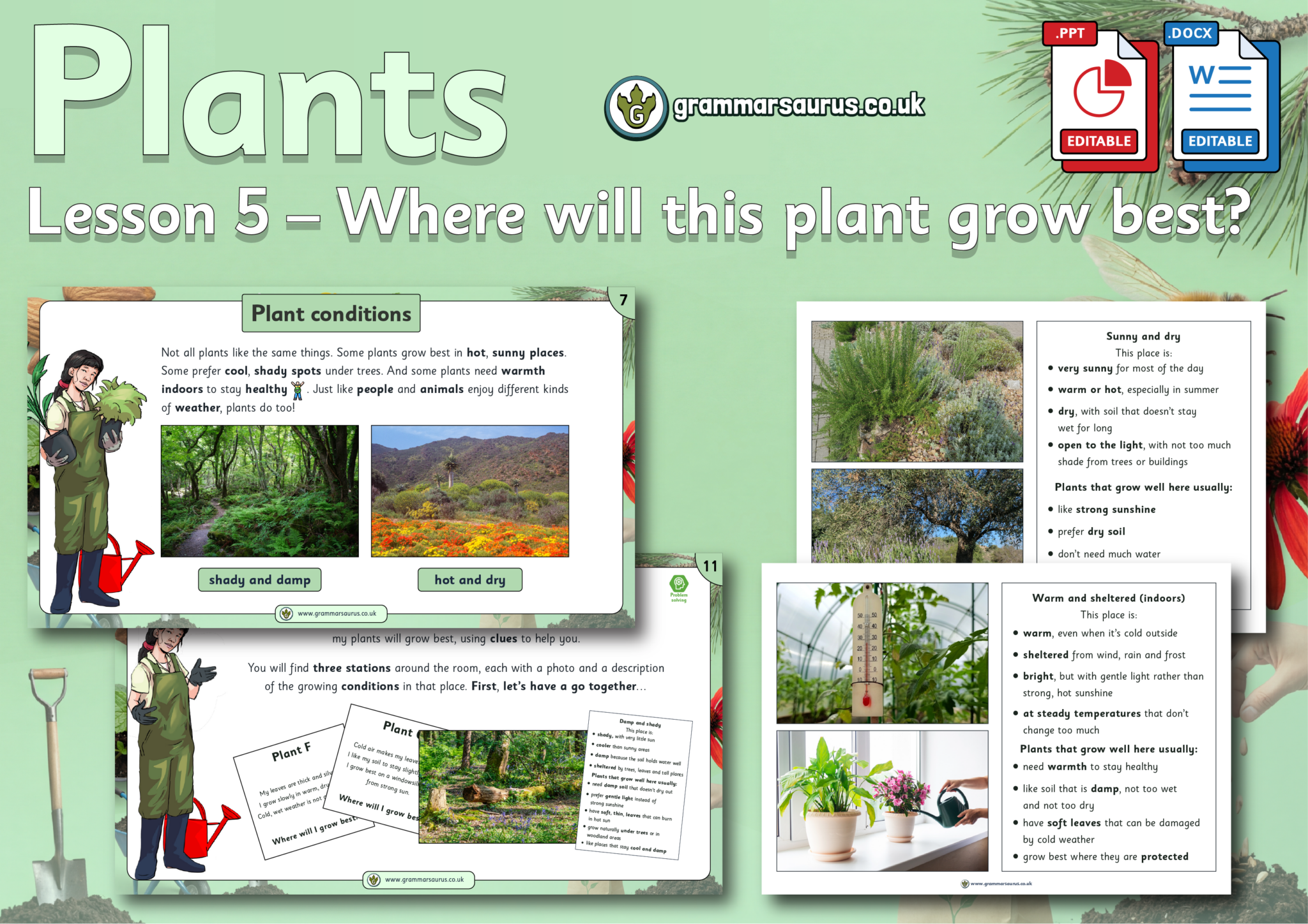 Year 2 Science - Plants - Where will this plant grow best? Lesson 5 ...