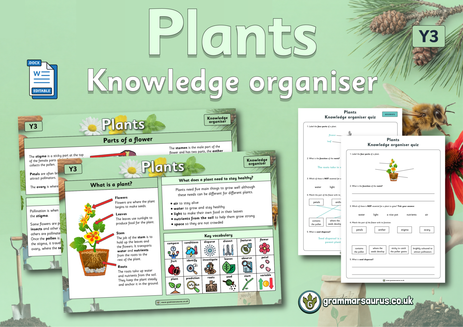 Year 3 Science - Plants - Knowledge organiser - Grammarsaurus