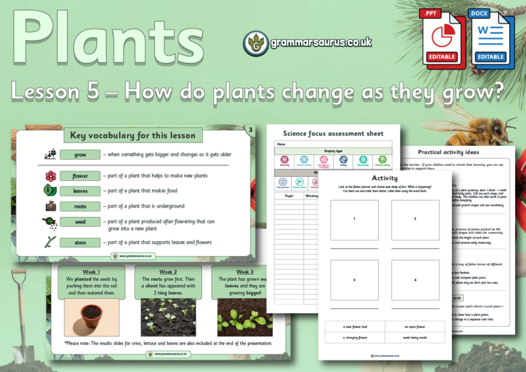 Year 1 Science - Plants - How do plants change as they grow? Lesson 5 ...