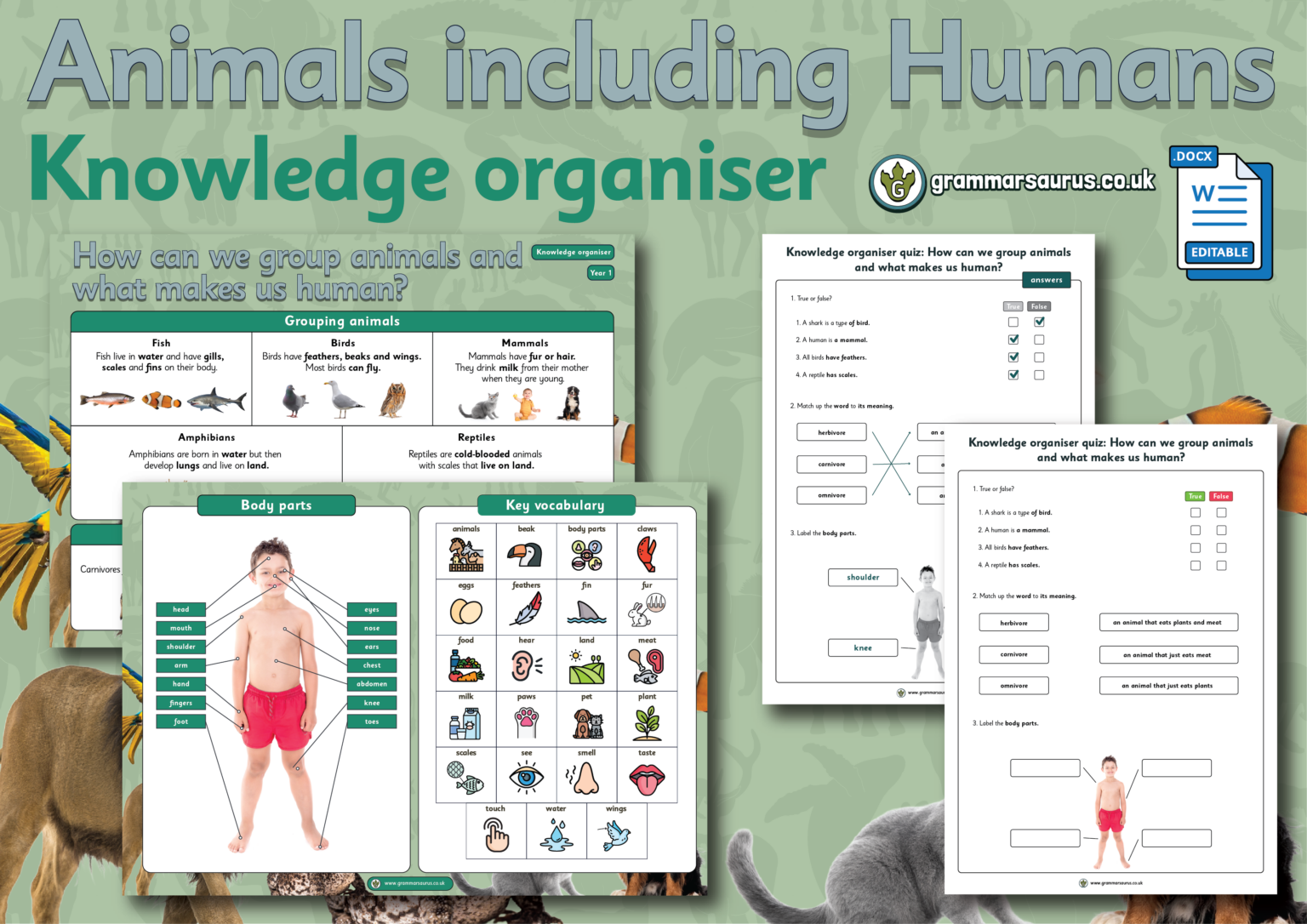 Year 1 Science – Animals including Humans – Knowledge Organiser ...