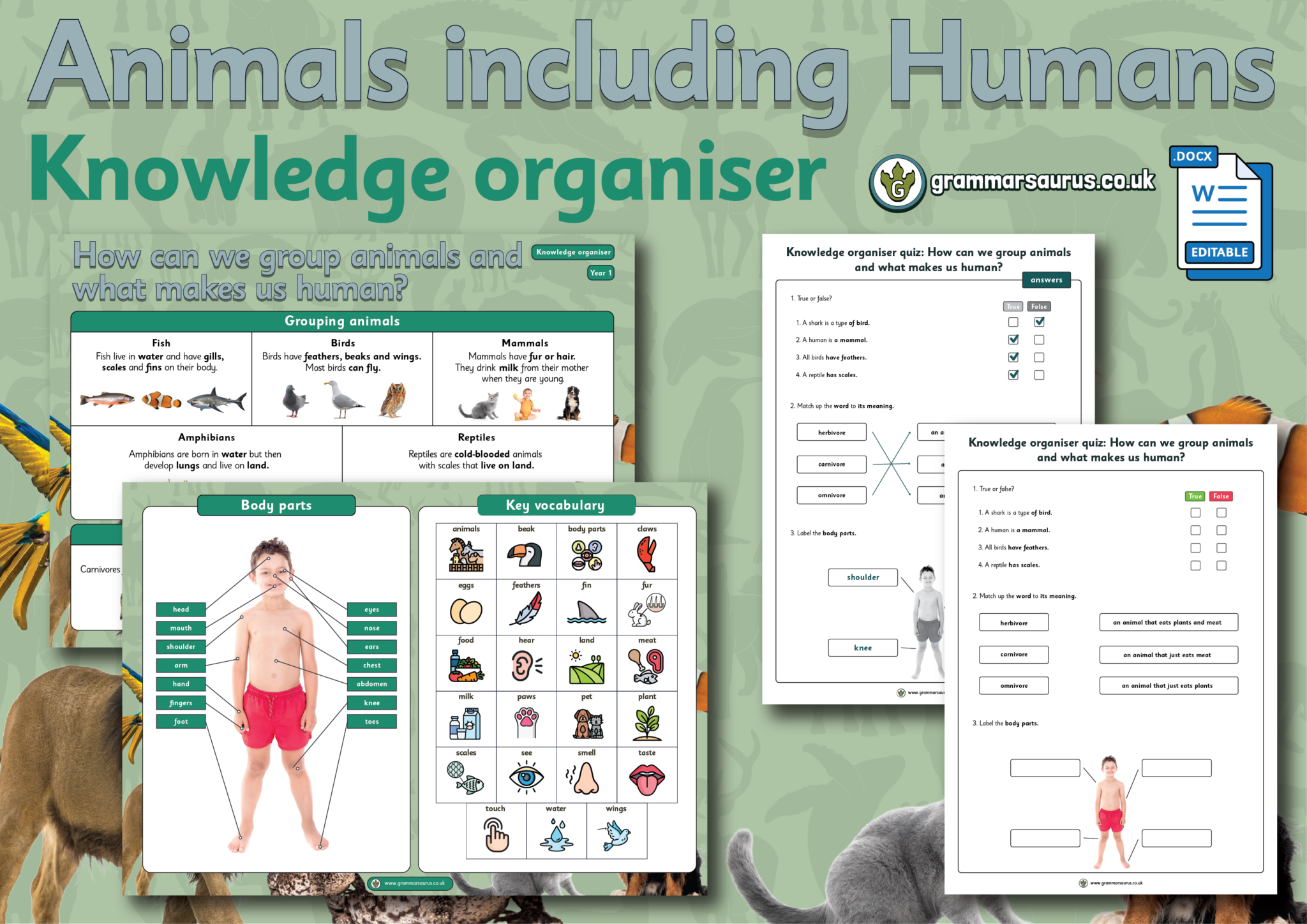 Year 1 Science – Animals including Humans – Knowledge Organiser ...