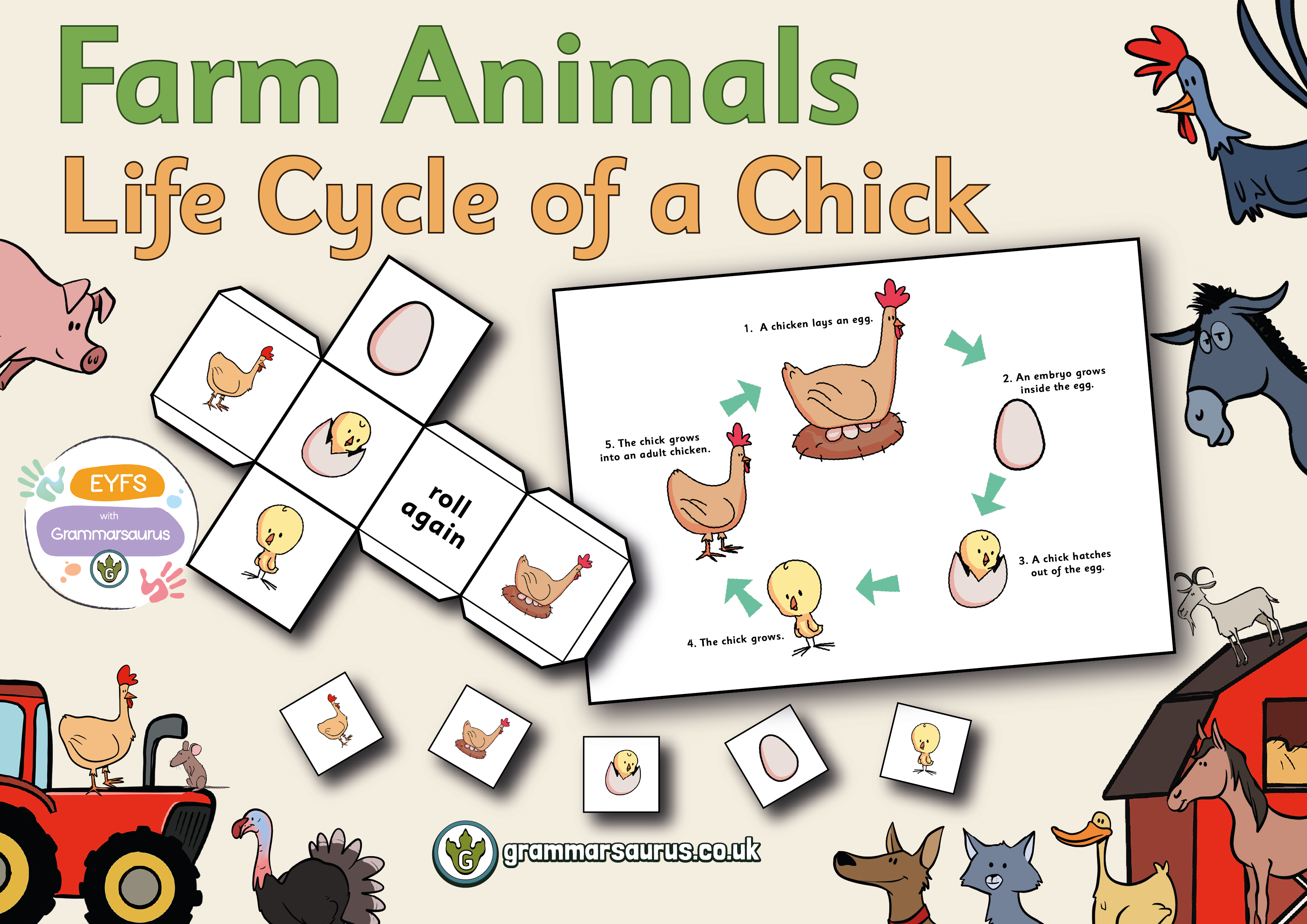 EYFS Farm Animals - Life Cycle of a Chick - Grammarsaurus