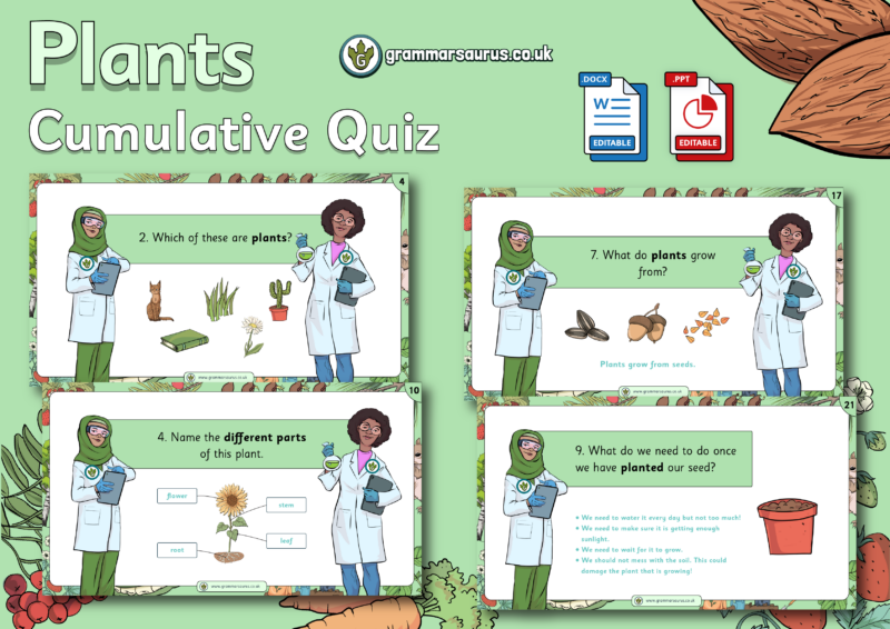 Year 1 Science - Plants - Cumulative Quiz - Grammarsaurus