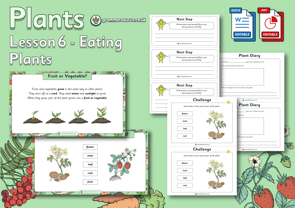 Year 1 Science - Plants - Eating Plants - Lesson 6 - Grammarsaurus