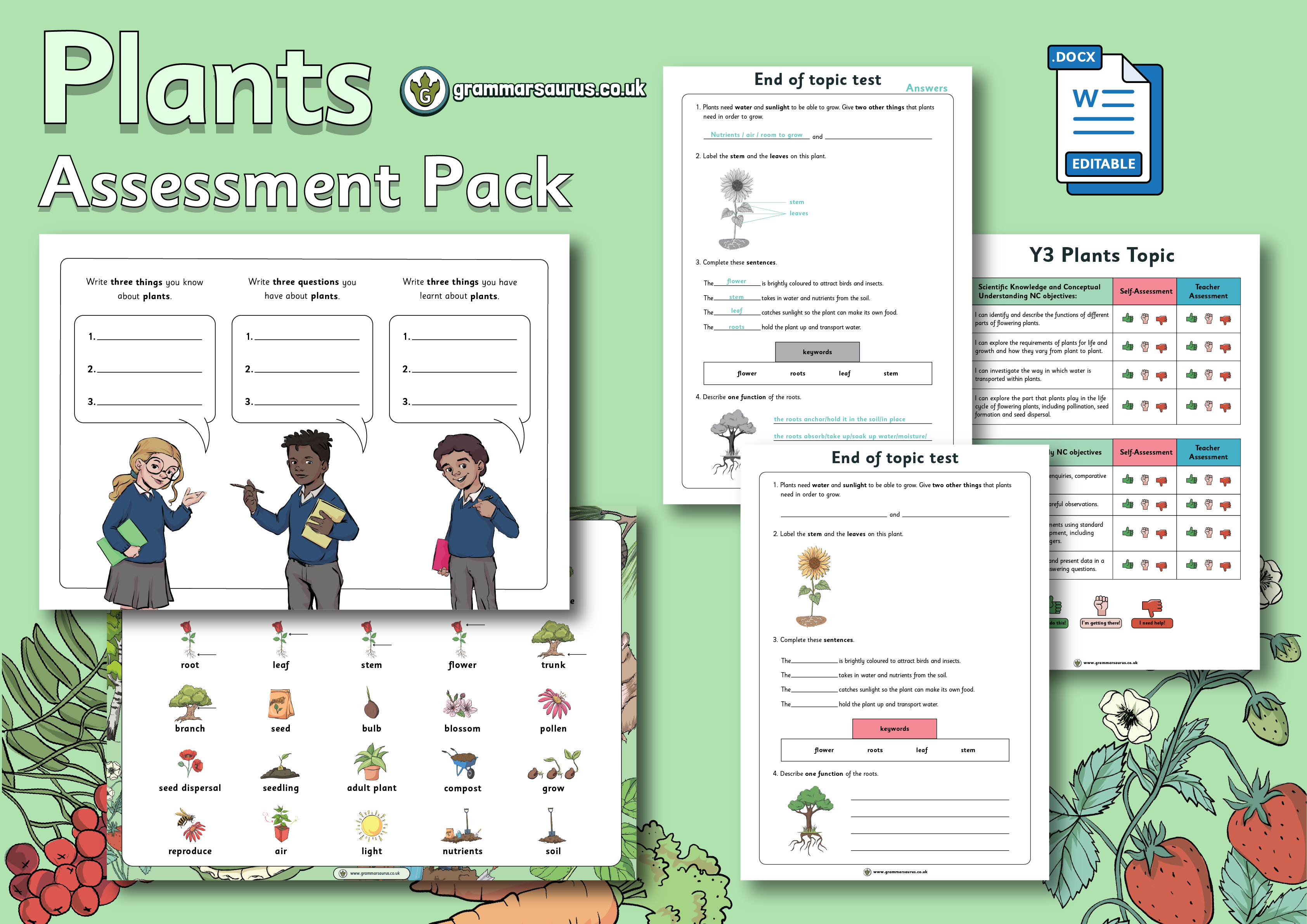 Year 1 Science - Plants - Assessment Pack - Grammarsaurus