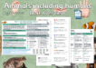 Year 4 Science - Animals including humans - Unit overview - Grammarsaurus