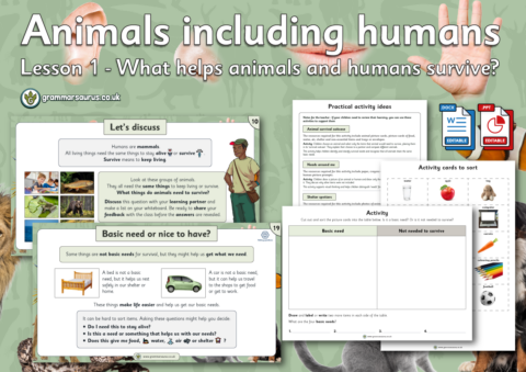 Year 2 Science - Animals including humans - What help animals and ...
