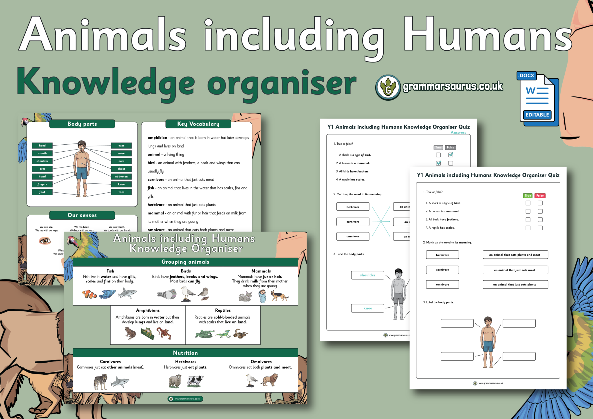 Year 1 Science – Animals including Humans – Knowledge Organiser ...