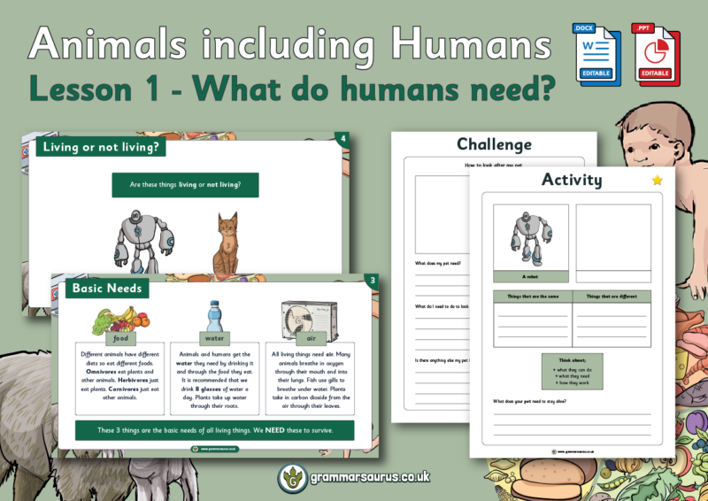 Year 2 Science - Animals including Humans - What do humans need? Lesson ...