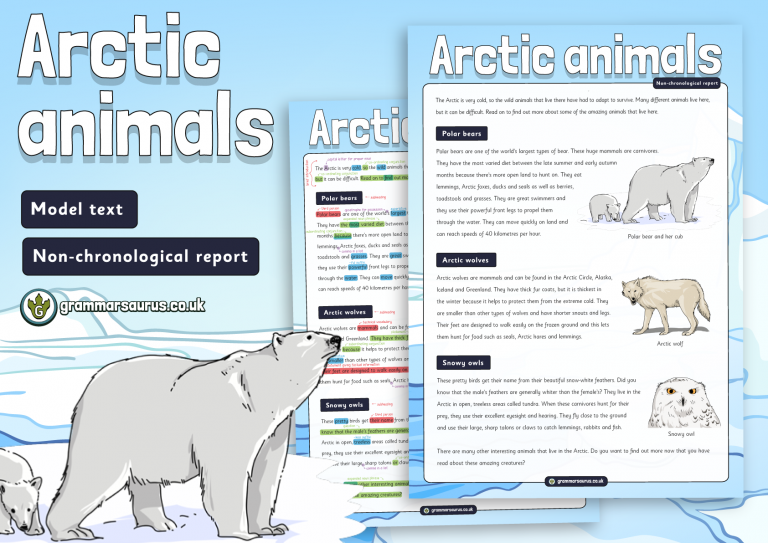 Year 2 Model Text - Non-chronological report – Arctic animals ...
