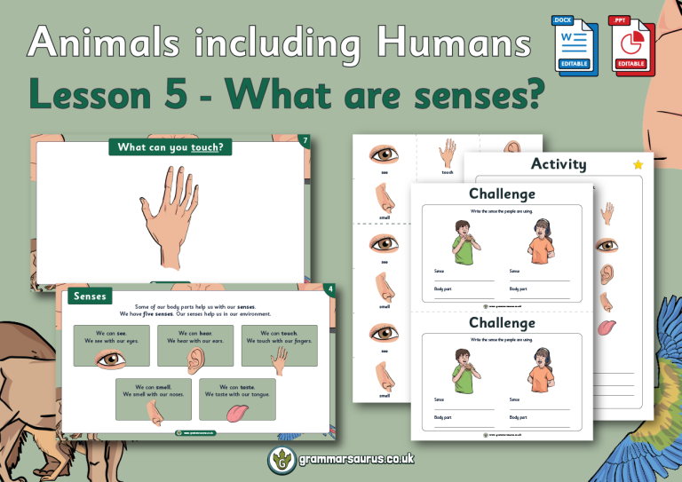 Year 1 Science Animals Including Humans What Are Senses Lesson 5 year-1-science-animals-including-humans-what-are-senses-lesson-5
