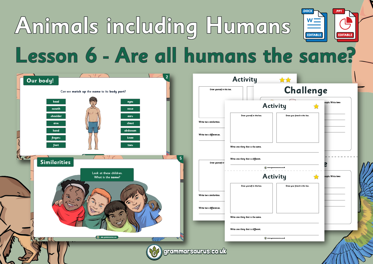 Year 1 Science - Animals including Humans - Are all humans the same ...