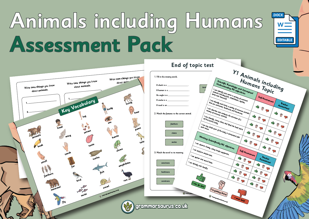 Year 1 Science - Animals including Humans - Assessment Pack - Grammarsaurus