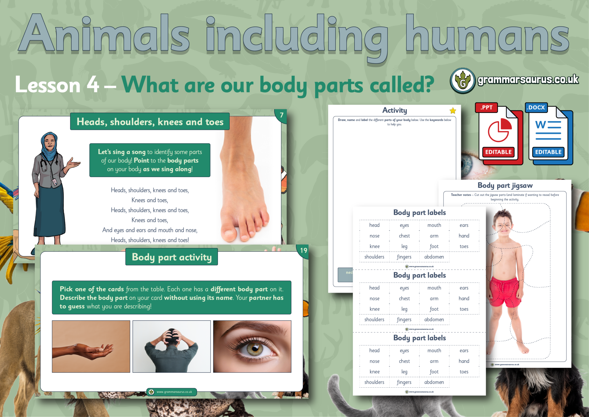 Year 1 Science - Animals including Humans - What are our body parts ...