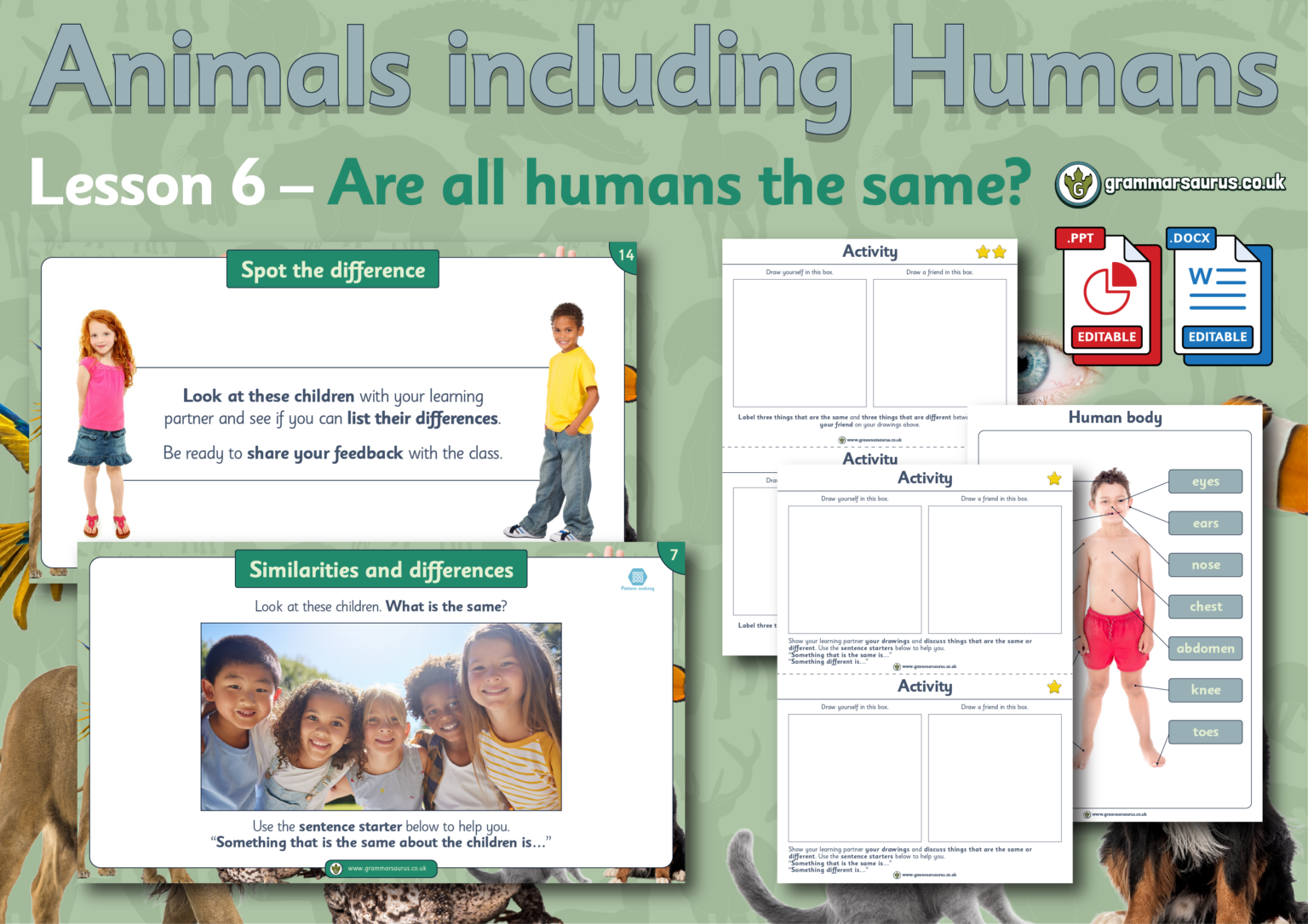 Year 1 Science - Animals including Humans - Are all humans the same ...