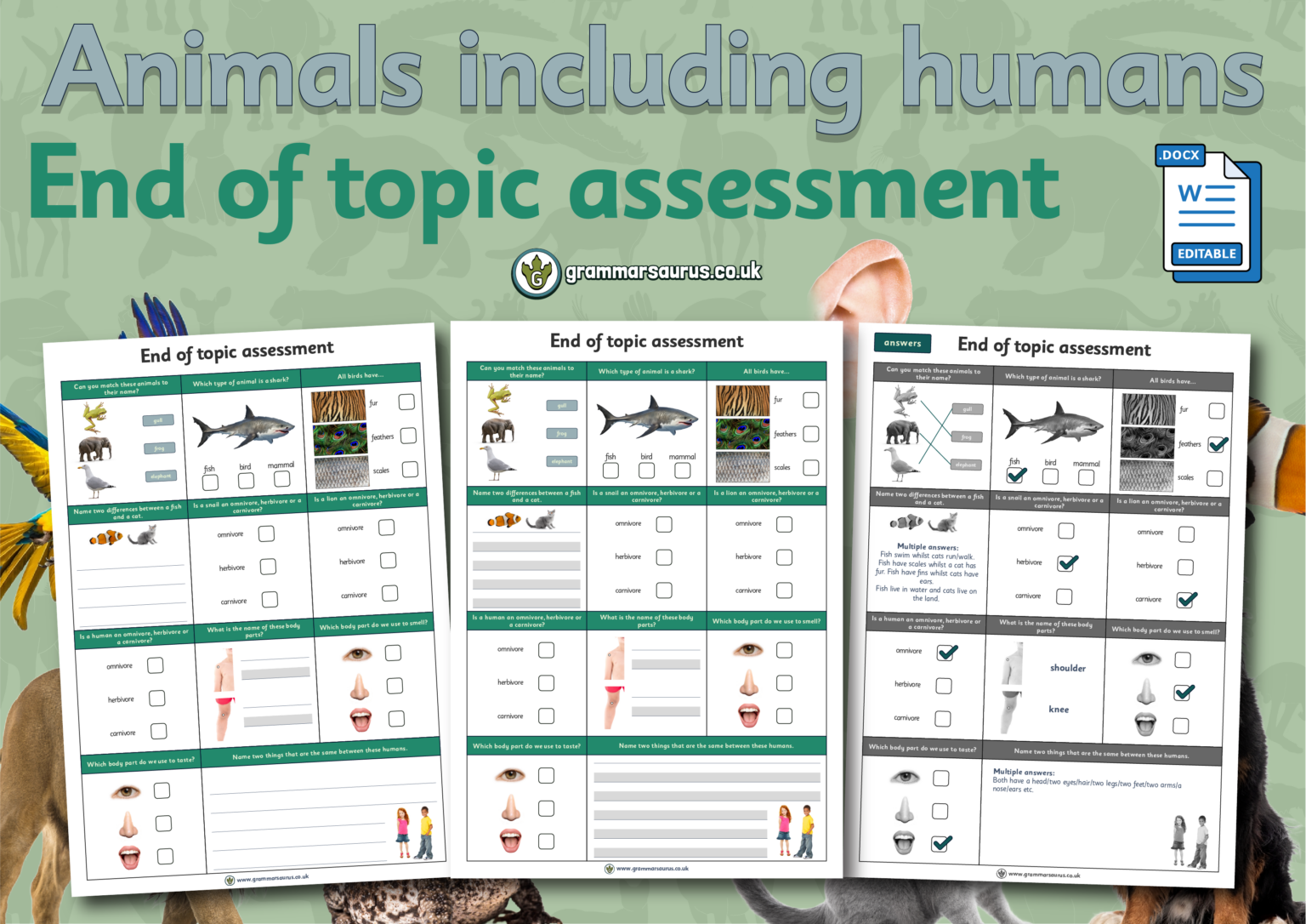 Year 1 Science - Animals including Humans - End of topic assessment ...