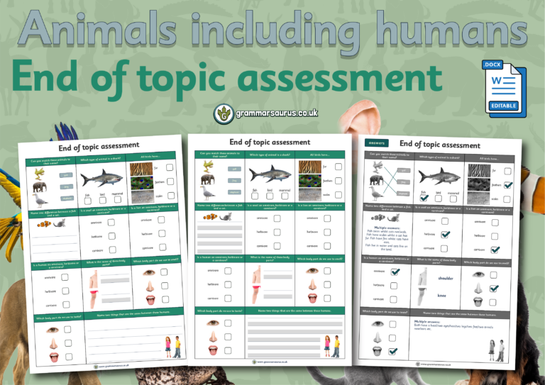 Year 1 Science - Animals including Humans - End of topic assessment ...