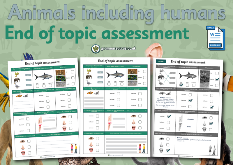 Year 1 Science - Animals including Humans - End of topic assessment ...