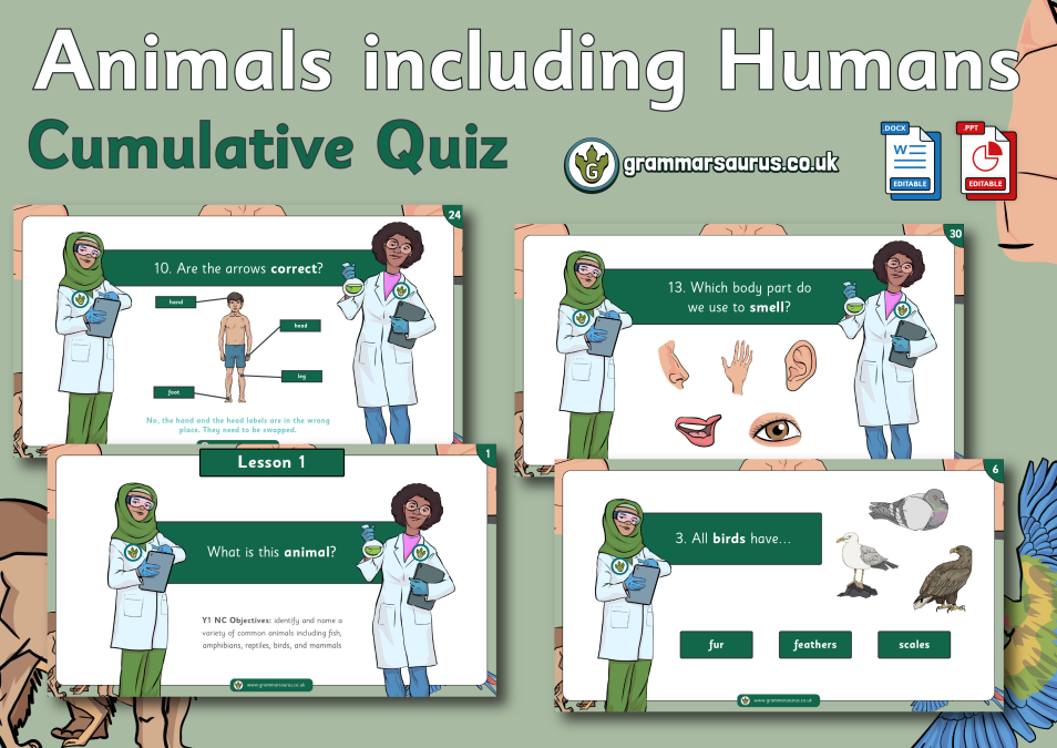 Year 1 Science - Animals including Humans - Cumulative Quiz - Grammarsaurus