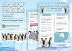 Year 1 Model Text – Non-chronological report – Emperor Penguins ...
