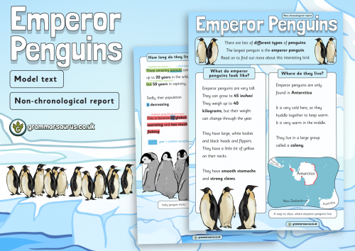 Year 1 Model Text – Non-chronological report – Emperor Penguins ...