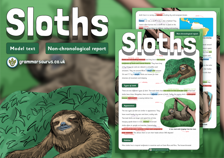 Year 4 Model Text – Non-chronological report - Sloths - Grammarsaurus