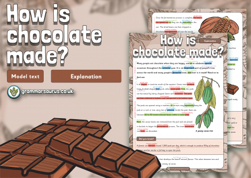 Year 3 Model Text – Explanation – How is chocolate made? - Grammarsaurus