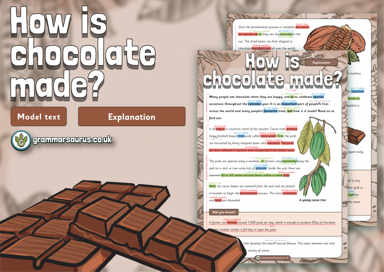 Year 3 Model Text – Explanation – How is chocolate made? - Grammarsaurus