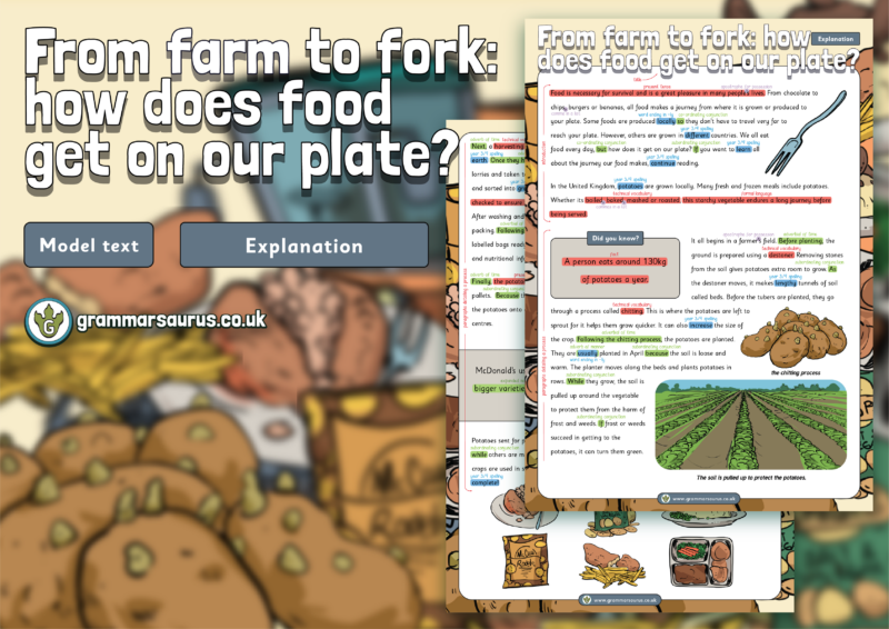Year 3 Model Text – Explanation – From farm to fork: how does our food ...