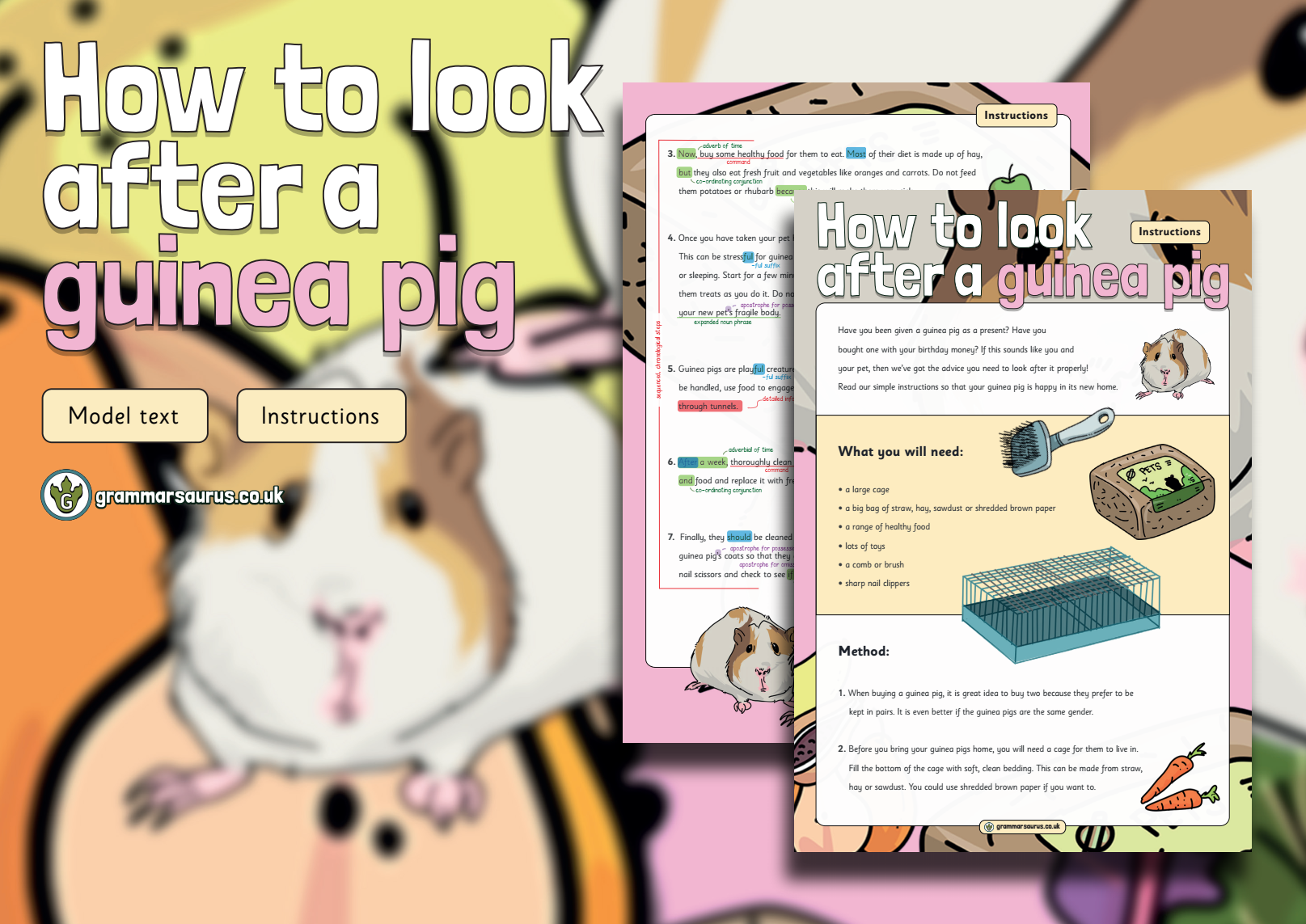 Year 2 Model Text – Instructions – How to look after a guinea pig ...