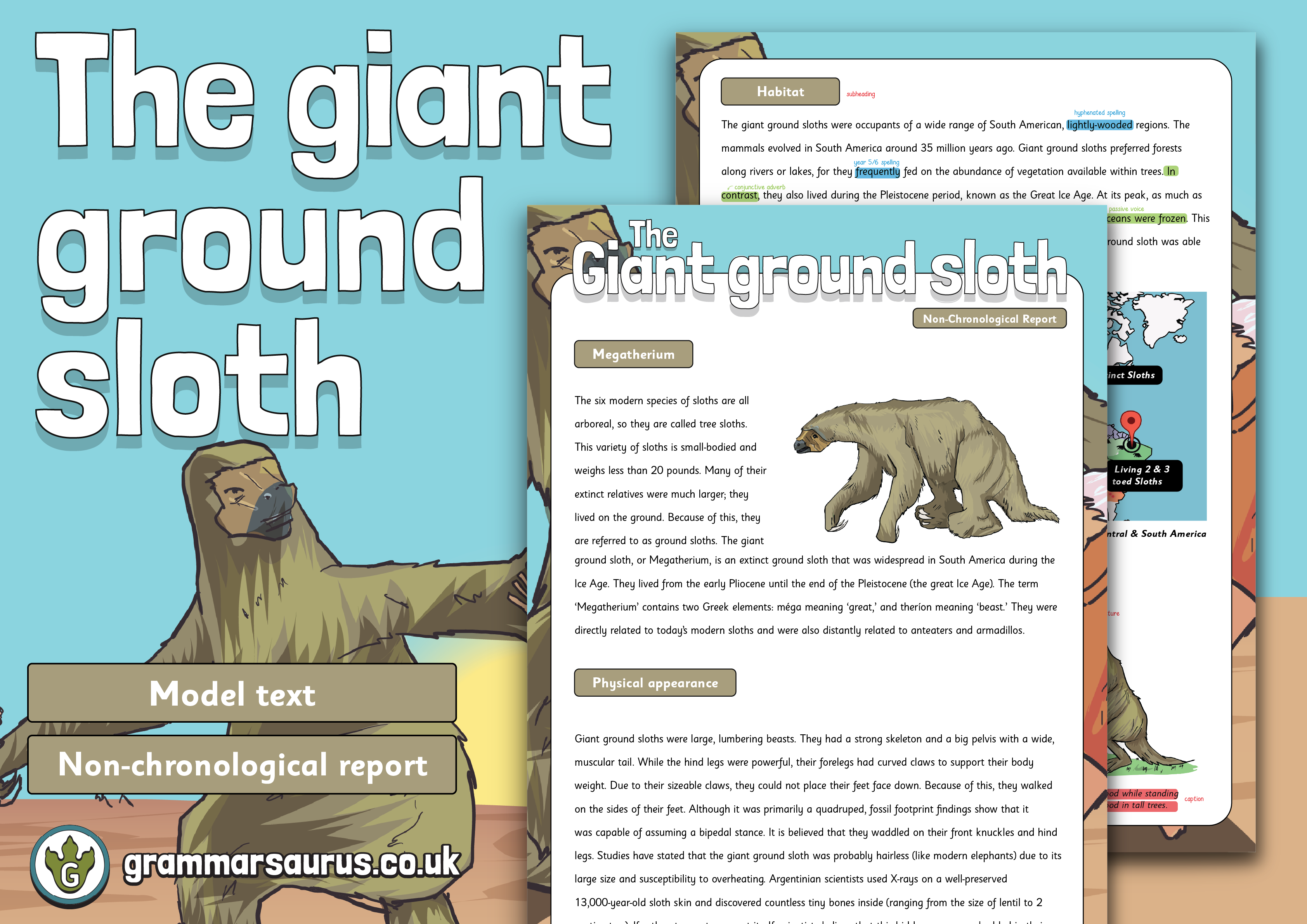 Year 6 Model Text - Non-chronological Report - Darwin's Discovery - The ...