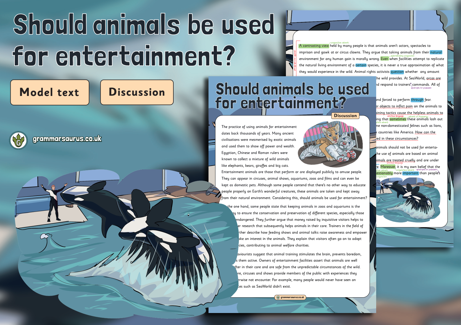 Year 4 Model Text – Discussion – Should animals be used for ...