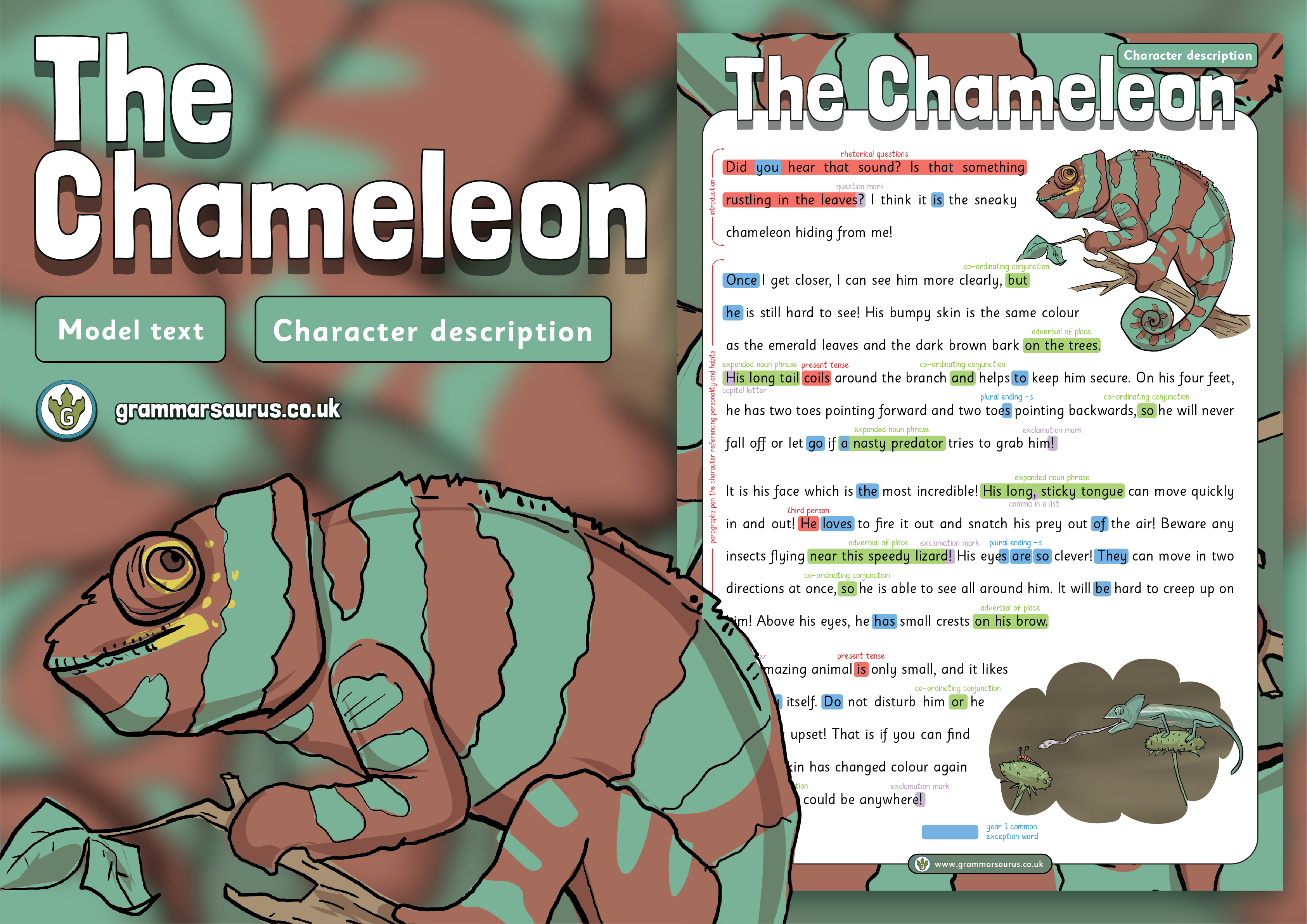 Year 1 Model Text – Character description – The Chameleon - Grammarsaurus