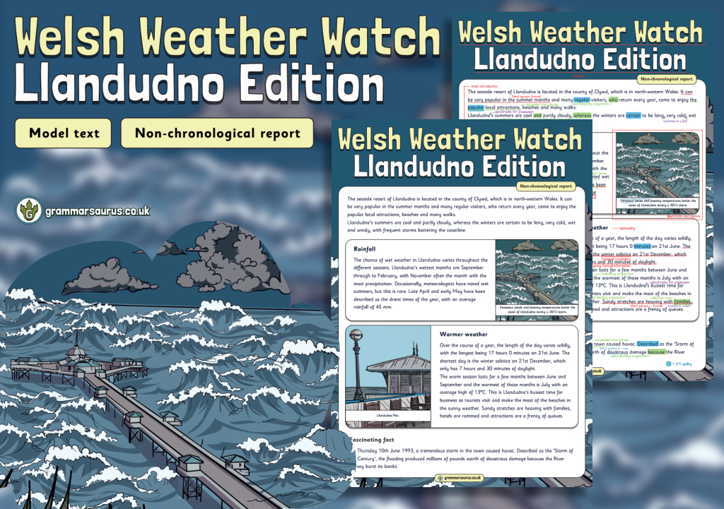 Year 4 Model Text Persuasive Advert Save Water Gbsct P4 3rd Grade And 3rd Class