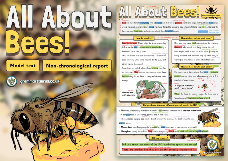 Year 2 Model Text – Non-chronological report – All about Bees ...