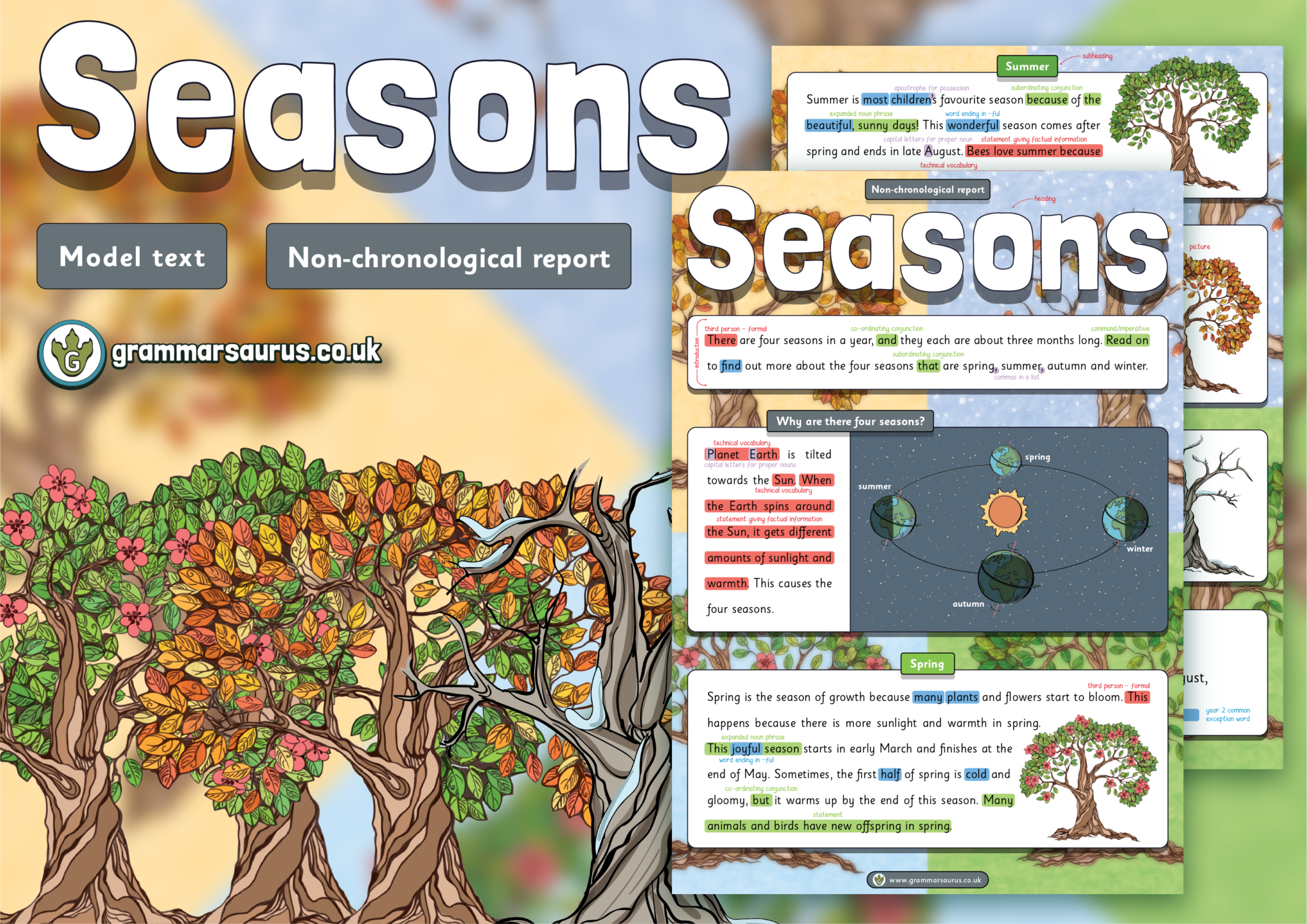 Year 2 Model Text – Non-chronological report – Seasons - Grammarsaurus