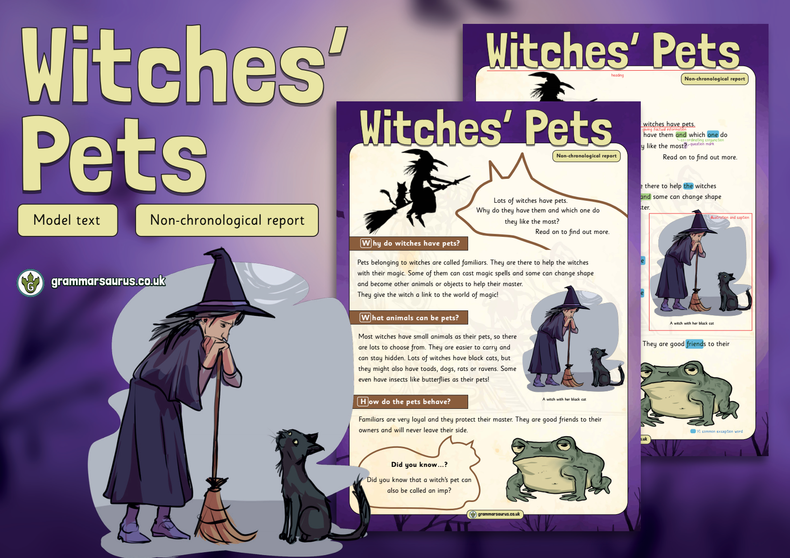 Year 1 Model Text – Non-chronological report – Witches’ pets ...