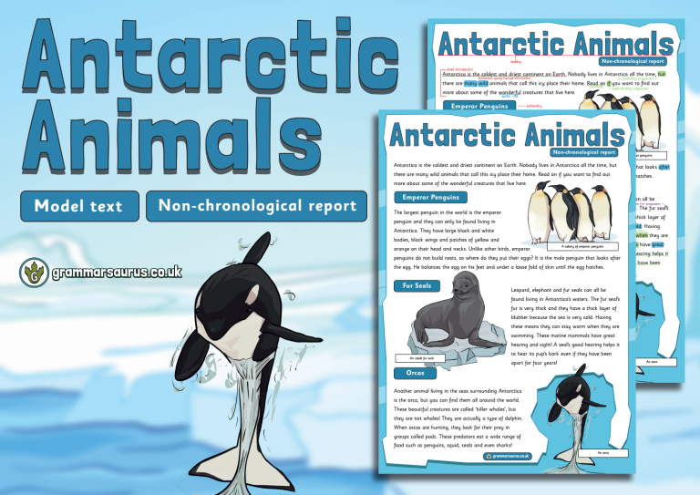 Year 2 Model Text – Non-chronological report – Antarctic Animals ...