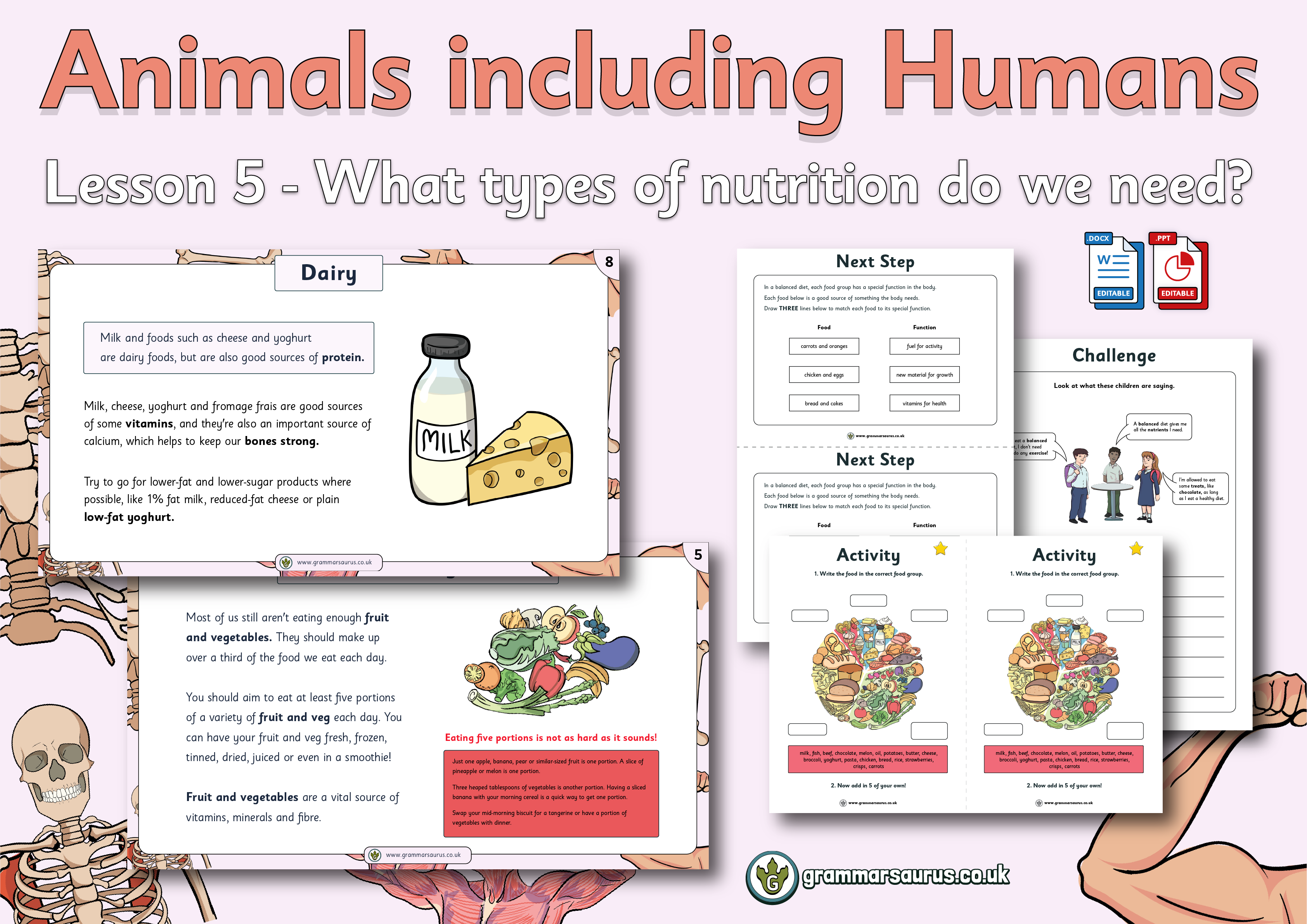Year 3 Science – Animals including Humans – What types of nutrition do ...