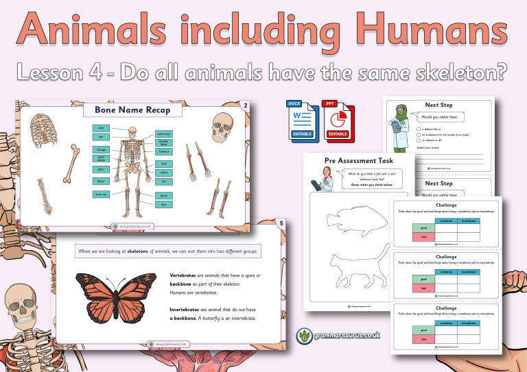 Year 3 Science - Animals including Humans - Do all animals have the ...