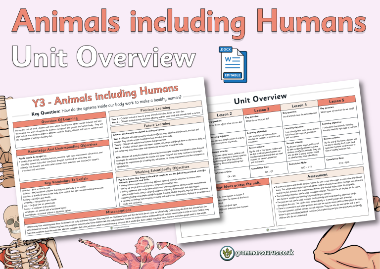 Year 3 Science - Animals including Humans - Unit Overview - Grammarsaurus